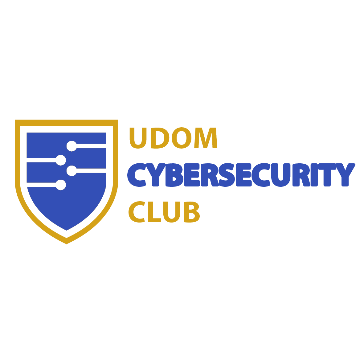 UDOM Cybersecurity Club